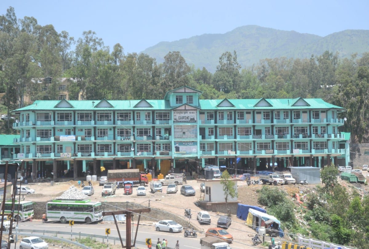 Solan News:सब्जी मंडी में बढ़ी स्थानीय मटर की आवक, 42 रुपये किलो मिला ...