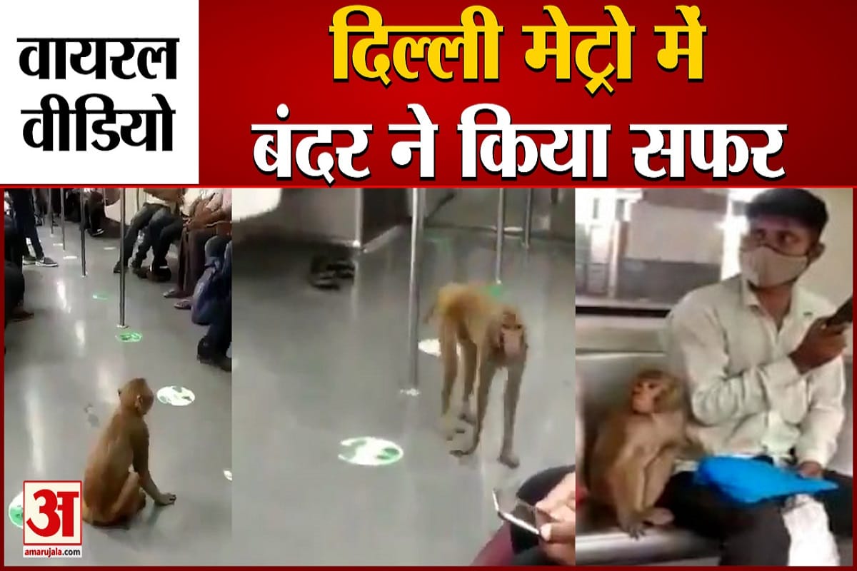 दिल्ली मेट्रो में बंदर ने किया सफर, शीशे से देखता रहा बाहर का नजारा ...