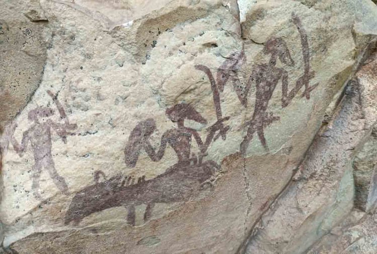 Bakswaha Forest Case: High Court Seeks Response On Rock Paintings, Mp ...