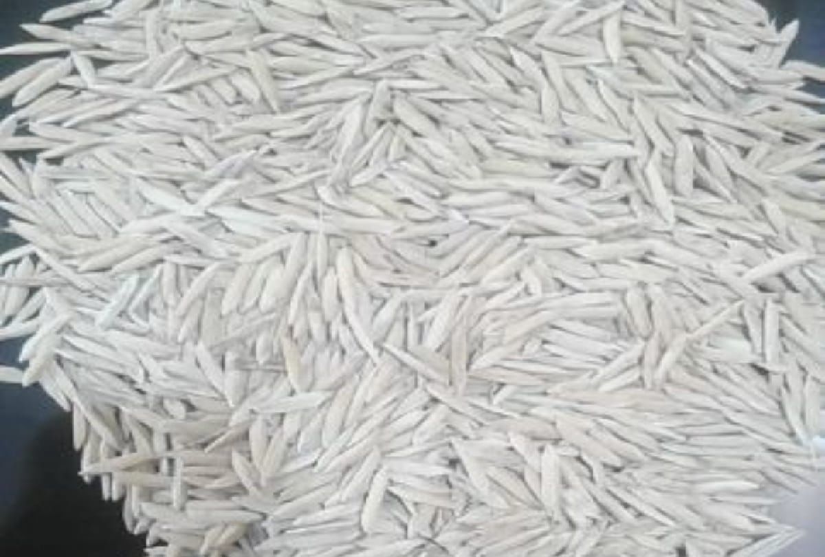 Basmati Rice Not Exported Below 1200 Dollar A Tonne - Amar Ujala Hindi ...