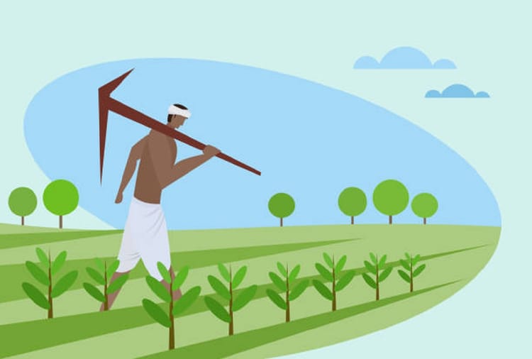 Indian: Rural Economy Is Moving In Direction Of Reforms, Average Income ...