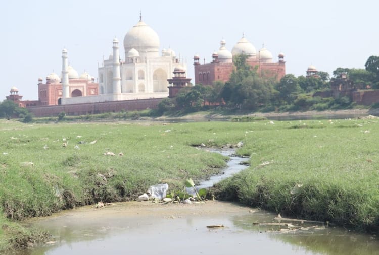 Ngt Expressed Displeasure Over Report Filed By Agra Municipal ...