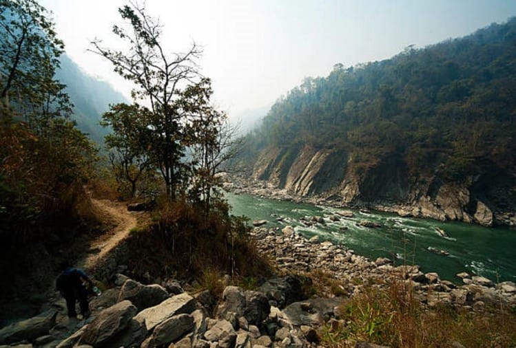 Most Dangerous Forest:भारत के 5 सबसे खतरनाक जंगल, जहां जाने पर हो सकती ...