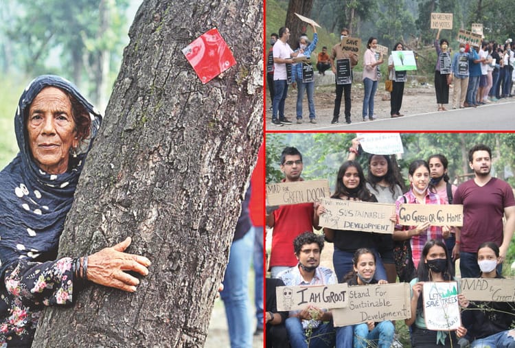 उत्तराखंड:11 हजार पेड़ों को बचाने के लिए जुटे लोग, पेड़ों से चिपक कर ...