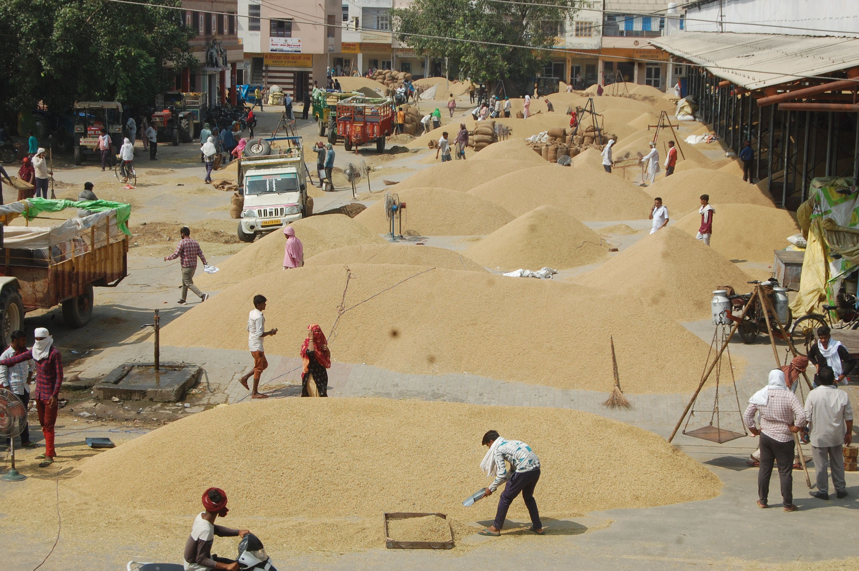 Farmers Protest:क्या है एमएसपी जिसकी मांग पर अड़े किसान, यह किन फसलों ...