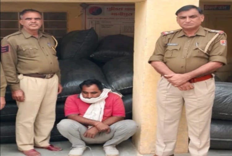 Rajasthan: Churu Police Seized 33 Lakh Doda Poppy Truck In Blockade ...