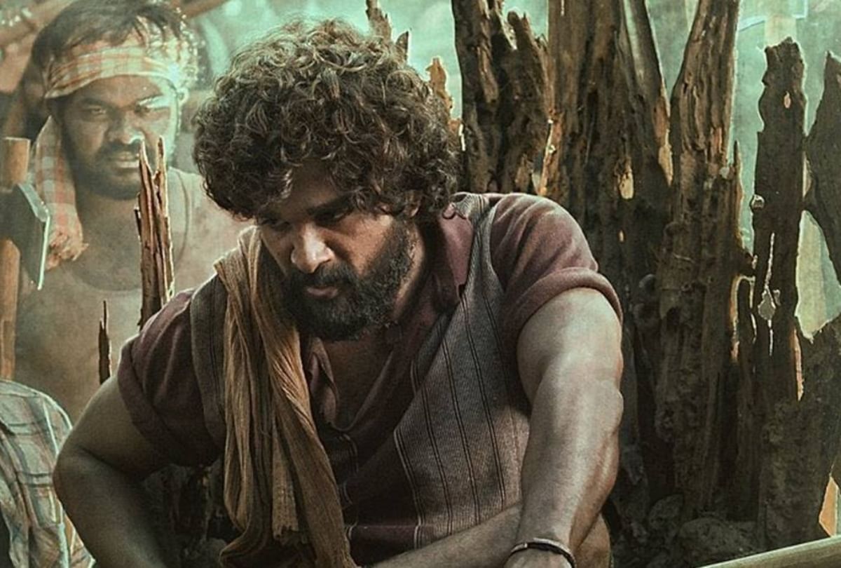 Pushpa Box Office Collection Day 25: Allu Arjun Rashmika Mandanna Movie ...