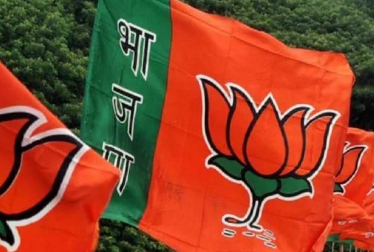 अमरोहा:टोपी-पंफलेट बांटने में फंसे भाजपा प्रत्याशी देवेंद्र नागपाल ...