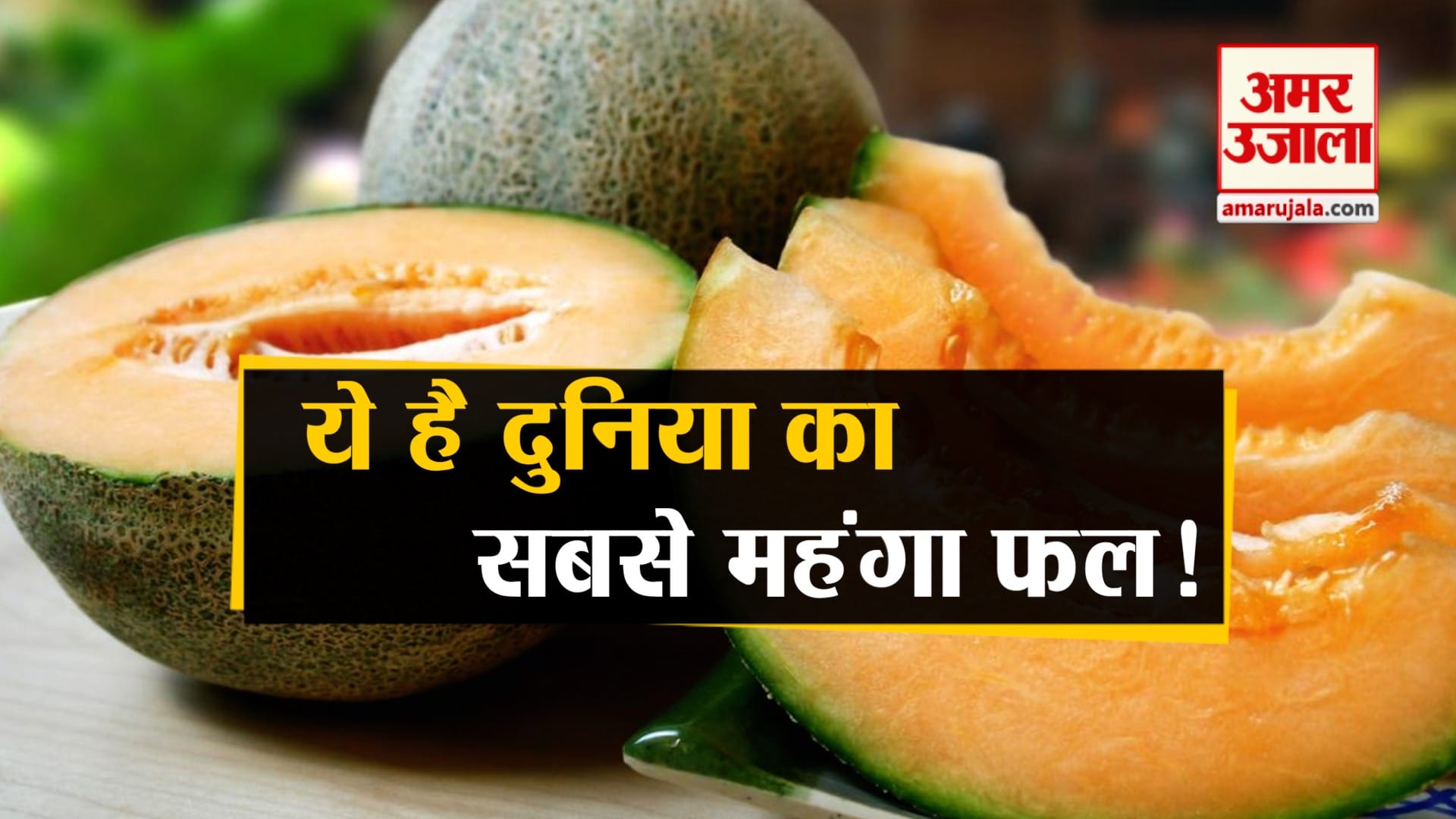 Know About World's Most Expansive Fruits Yubari Melon Japan - Amar ...