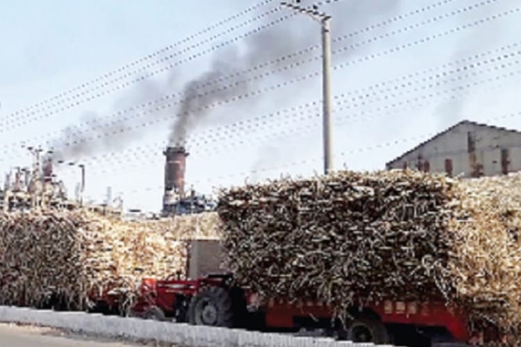 Lucknow News : Sugarcane Of Mohiuddinpur Sugar Mill Allotted To Other ...