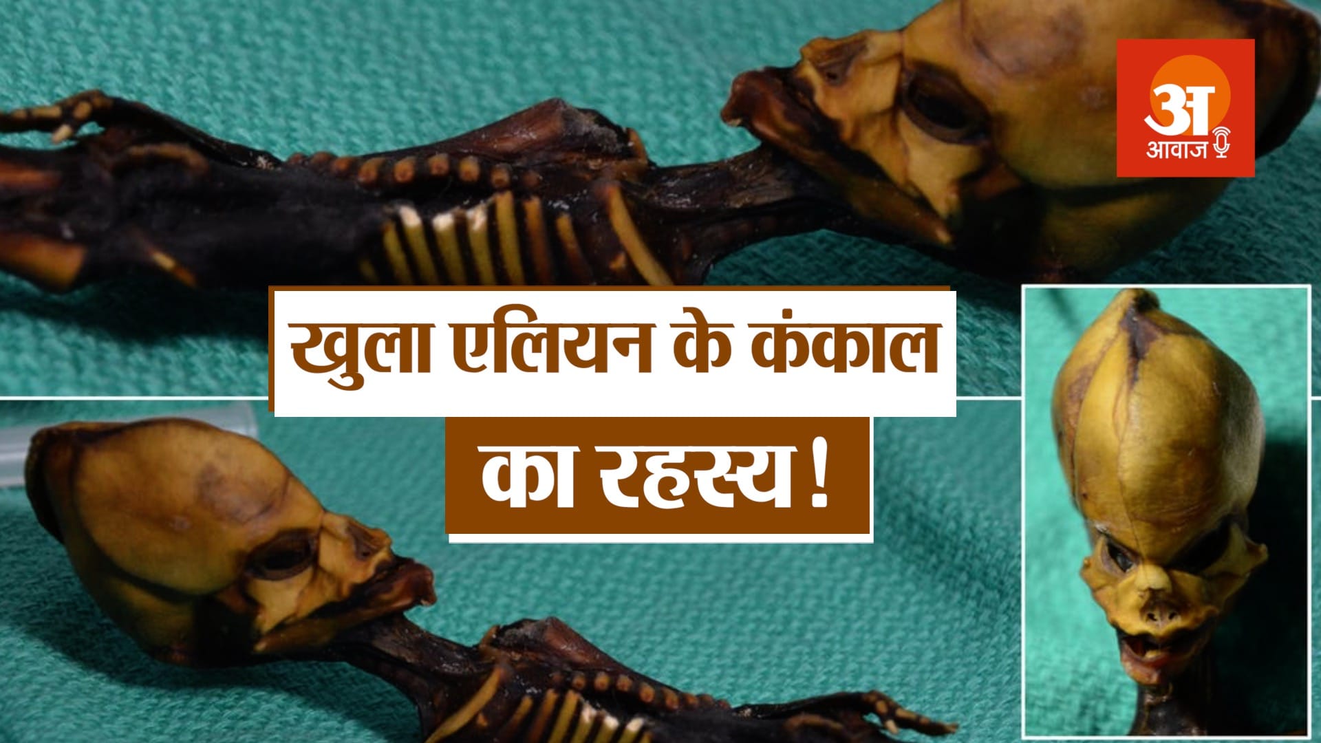 वैज्ञानिकों ने बताया एलियन के कंकाल का राज! | Weird Stories Podcast