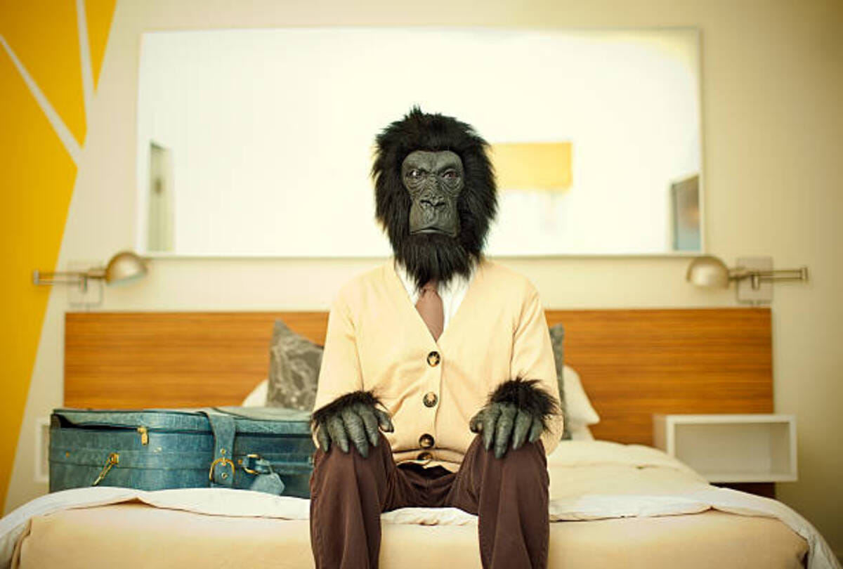 Chinese Scientists Creating Human Chimpanzee Hybrid Humanzee In Lab ...