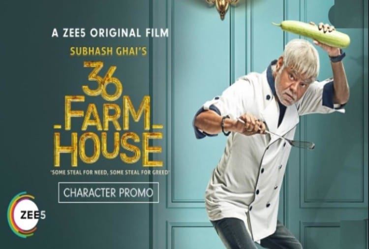 36 Farmhouse Movie Review:संजय-विजय की ओवरएक्टिंग ने बिगाड़ा खेल, पहले ...