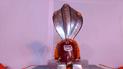 Sawan 2022 Know About Importance And Benefits Of Parad Shivling ...