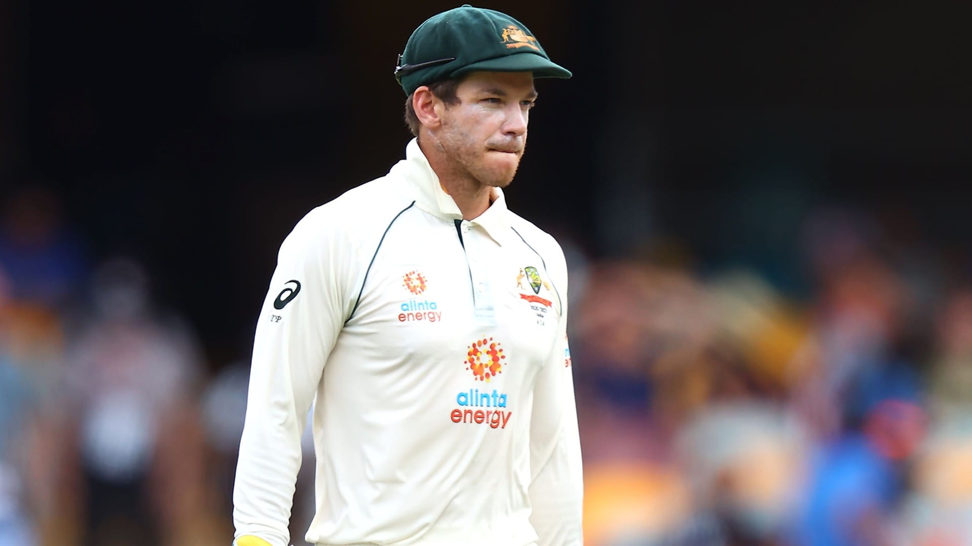 Cricket Australia:पूर्व टेस्ट कप्तान टिम पेन और मैथ्यू वेड सेंट्रल ...
