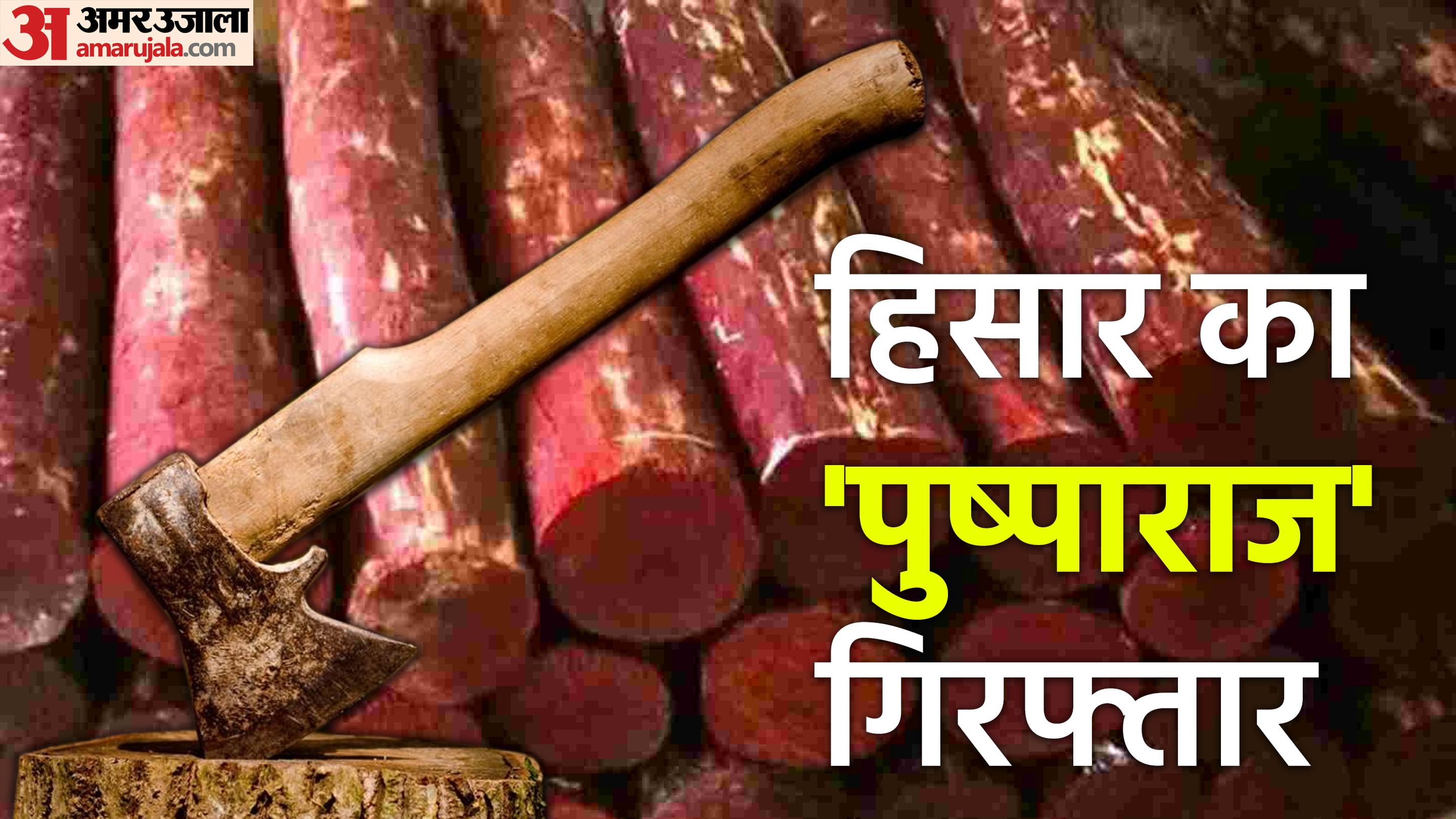 हिसार का 'पुष्पाराज' गिरफ्तार:कैंटर में छिपा कर रखी थी लाल चंदन की ...