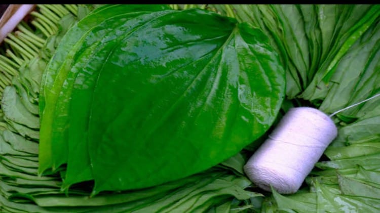 Paan Ke Patte Ke Upay:किस्मत के ताले खोल सकते हैं पान के पत्तों के ये ...