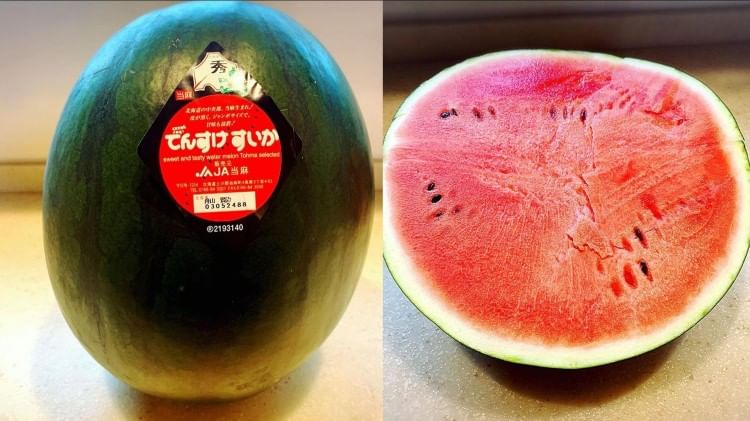 Worlds Most Rare And Expensive Densuke Black Watermelon - Amar Ujala ...