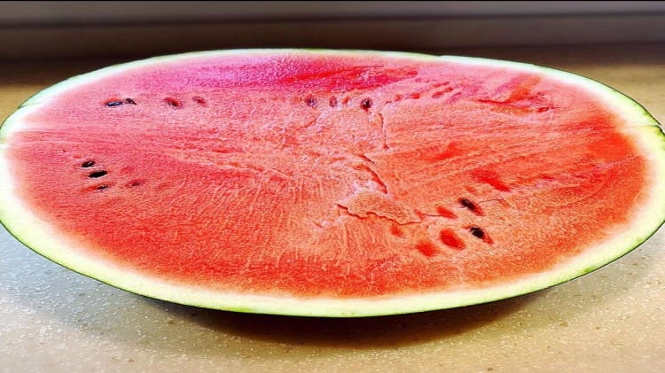 Black Watermelon:ये है दुनिया का सबसे महंगा तरबूज, इस दुर्लभ फल की लगती ...