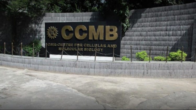 Scientists At Ccmb In Hyderabad Develop New Mrna Technology Based Covid ...