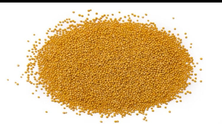 Peeli Sarso Ke Upay Do These Yellow Mustard Seed Measure To Get ...