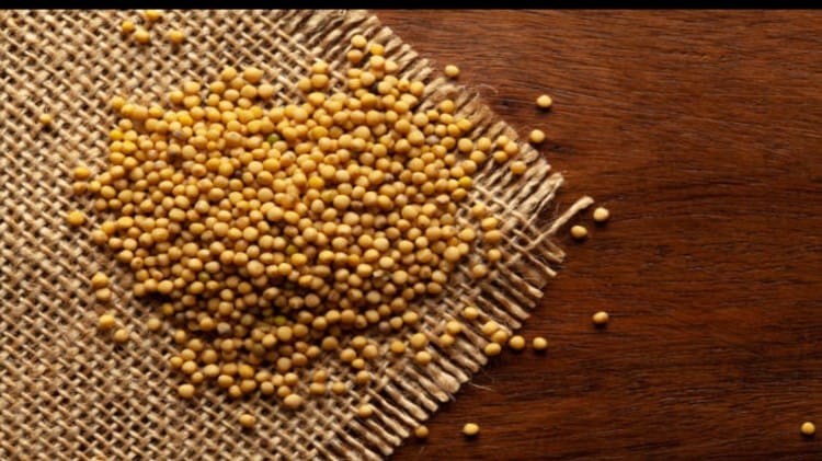 Peeli Sarso Ke Totke Upay Jyotish Upay Of Yellow Mustard Seeds For ...