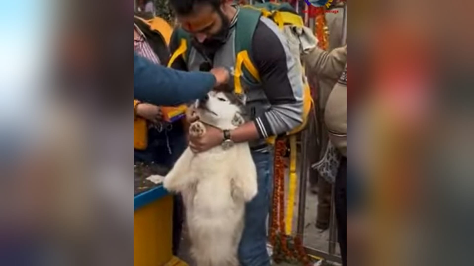 Badrinath Kedarnath Temple Committee Gives Complaint Of Pilgrim Who ...
