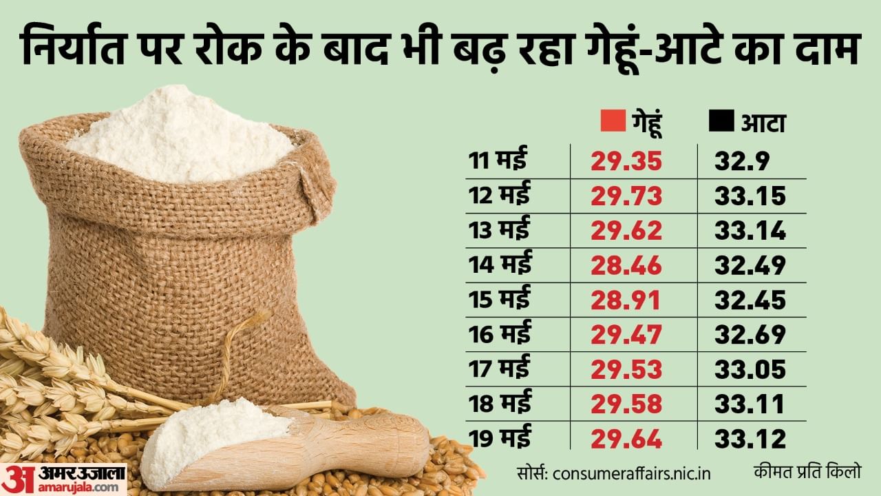 Why India Has Banned Wheat Exports All You Need To Know - Amar Ujala ...
