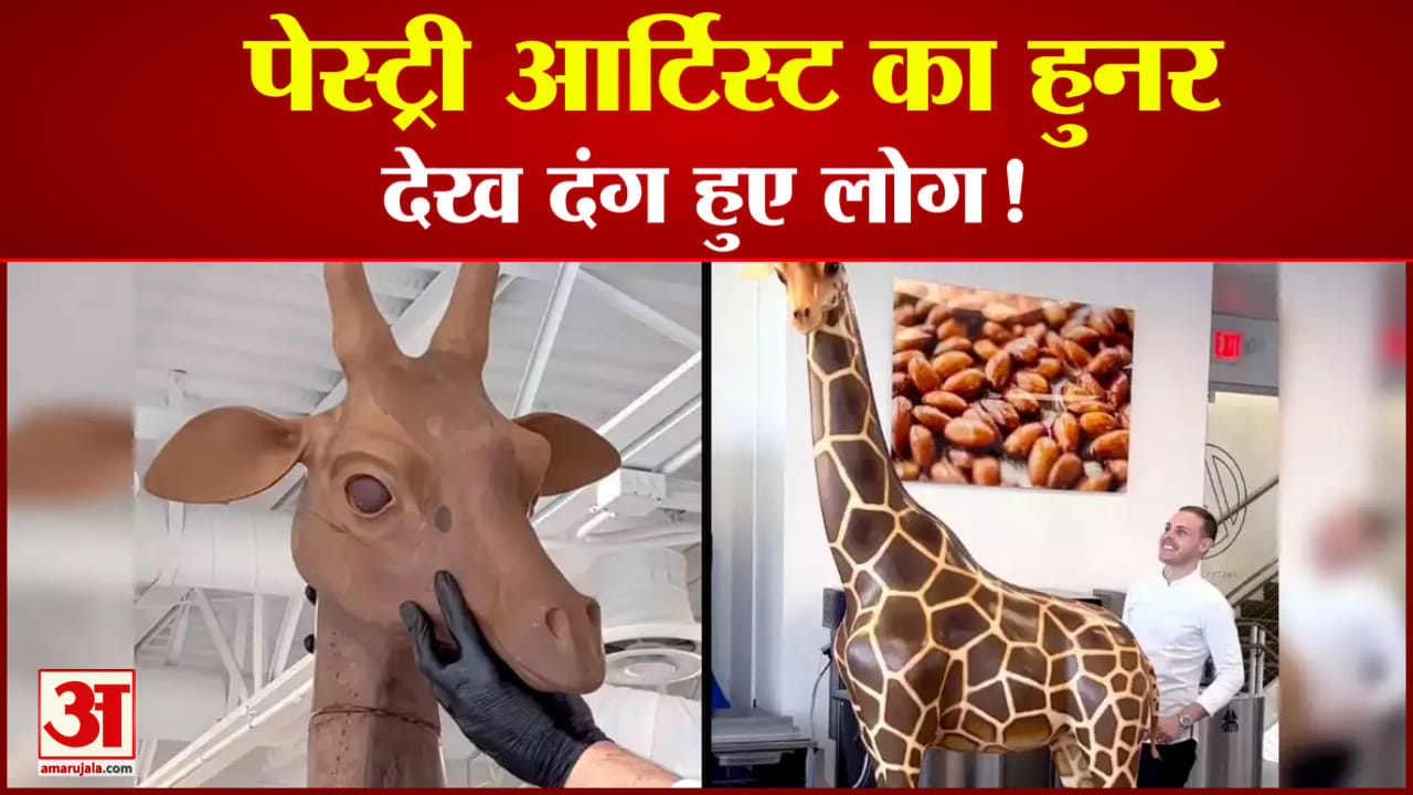 Chocolate Giraffe Pastry Artist Creates Giraffe Sculpture - Amar Ujala ...