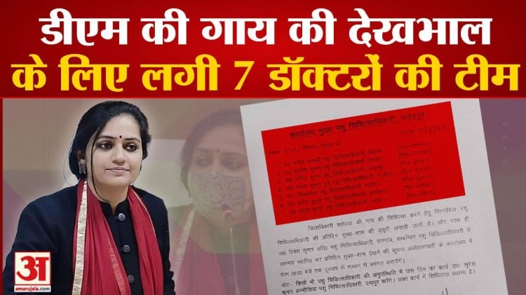 यूपी के फतेहपुर की डीएम अपूर्वा दुबे ने अपनी बीमार गाय की देखभाल के लिए ...