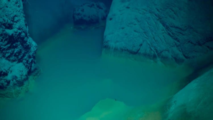 Scientist Discovered Poisonous Pools Under The Ocean Where Human Dies ...