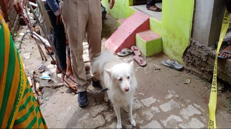 Murder:रसोइया की साड़ी मुंह में दबाकर किन्नर के घर तक लाया 'चीकू ...