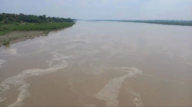 Baghpat:दिल्ली से यमुना नदी में नहाने आए पांच युवक डूबे, चार को बचाया ...