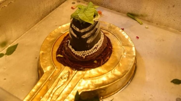 Kashi Vishwanath Darshan After Reaching Varanasi, Reach The Temple ...