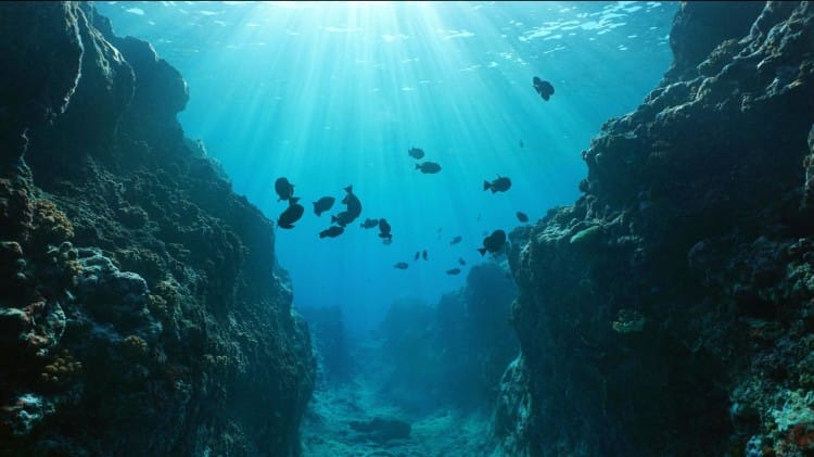 Scientists Discovered Deadly Pool At The Bottom Of Red Sea Know Details ...