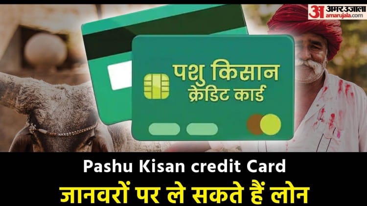 Pashu Kcc:पशुपालन पर सरकार दे रही है 1.5 लाख रुपये का लाभ, ऐसे करें ...