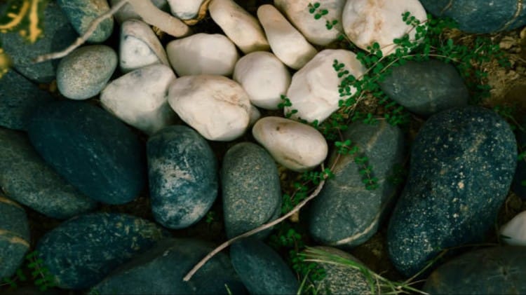 Gemstone Benefits:सफेद मूंगा पहनने से होते हैं कई लाभ, जानिए कब और कैसे ...