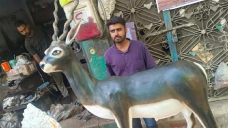 Bishnoi Community To Build Memorial Honouring Blackbuck Killed By ...