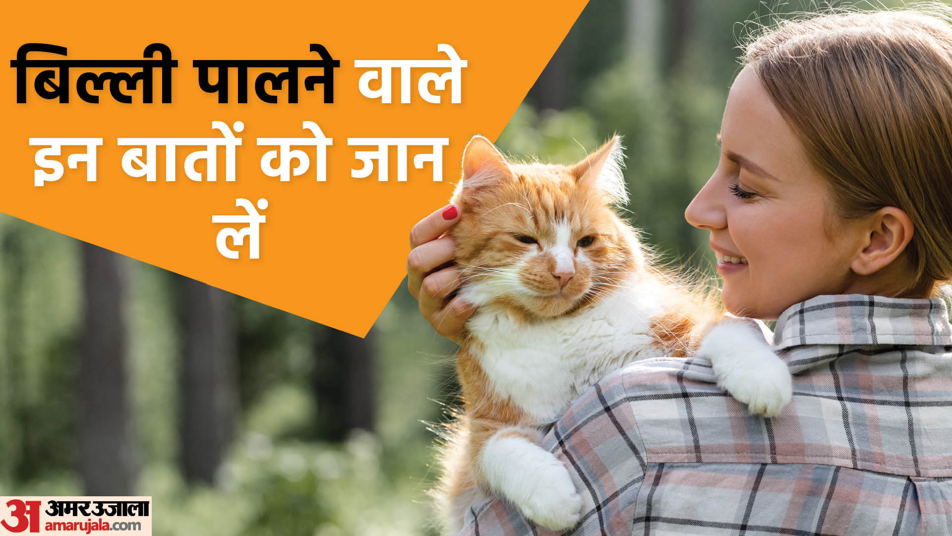 Tips For Cat Owners How To Take Care Of Pet Cat - Amar Ujala Hindi News ...