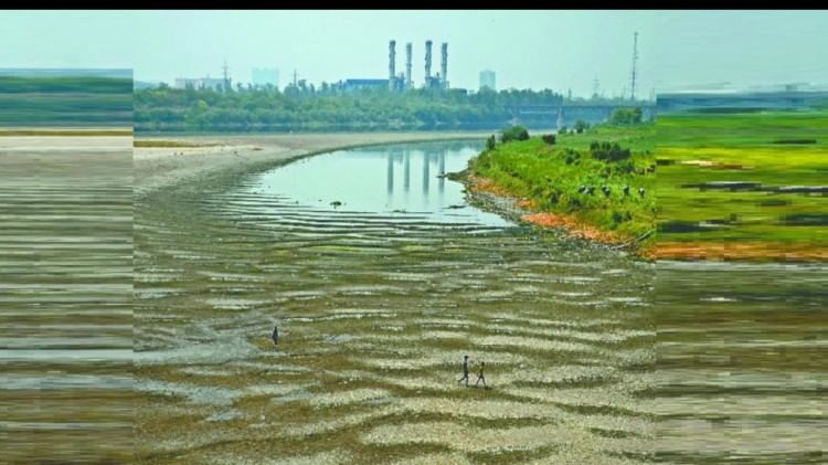 The Plight Of Rivers: The Relationship Between Yamuna And Delhi Started ...