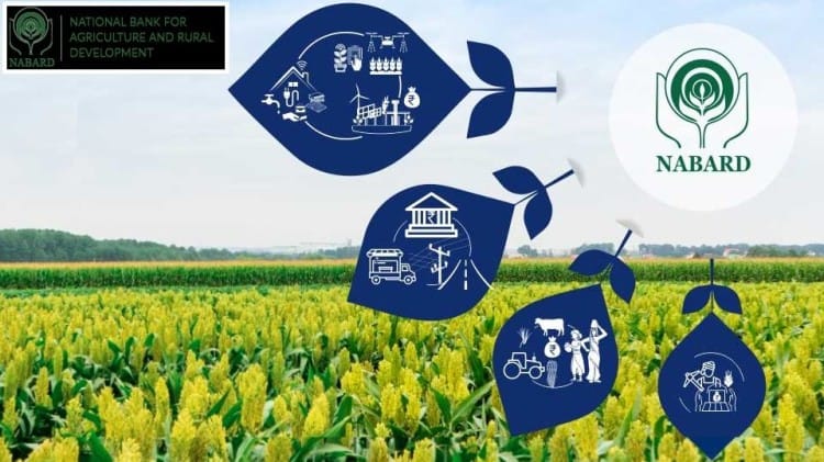 Nabard Assistant Manager Recruitment 2023 Apply Online At Nabard.org ...