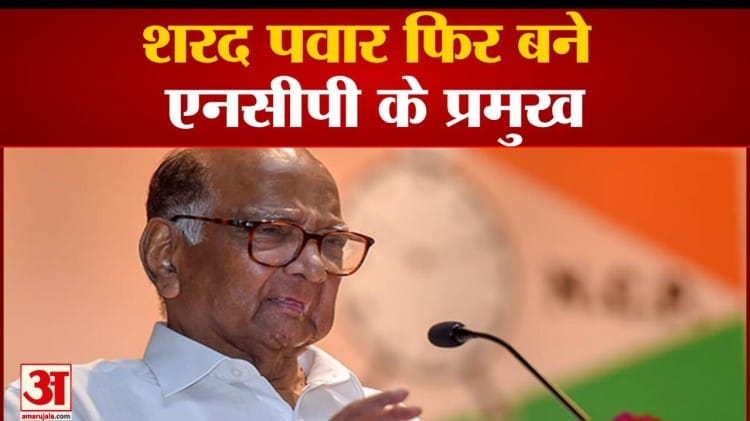 Sharad Pawar Again Became The Head Of Ncp, Told Modi Government Anti ...
