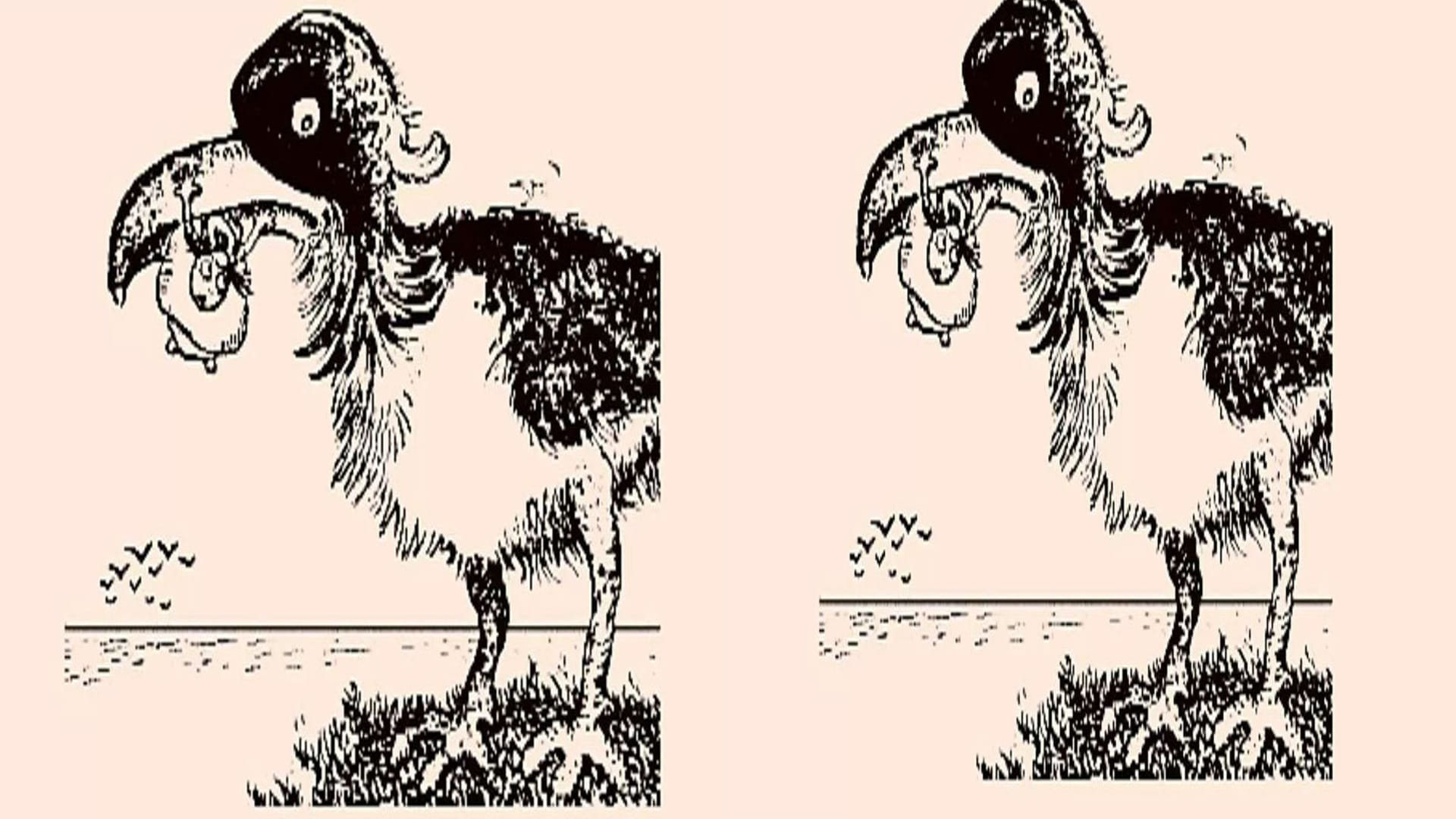 Optical Illusion Pictures With Hidden Images Find Out Fisherman In Pic ...