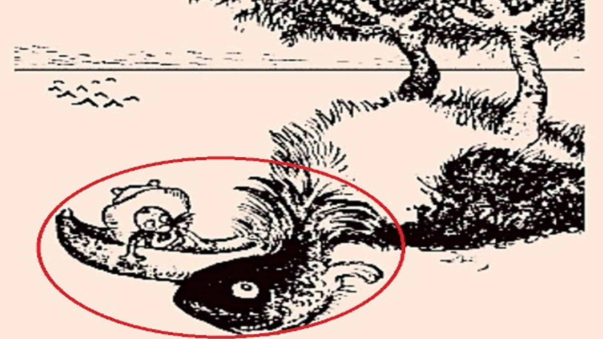 Optical Illusion Pictures With Hidden Images Find Out Fisherman In Pic ...