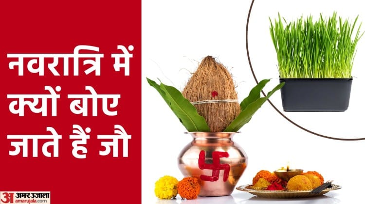 Shardiya Navratri 2022 Importance Of Jaware In Navratri In Hindi ...