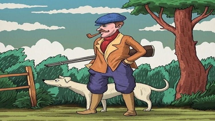 Viral Optical Illusion Photo: Find Out Hidden Rabbit From Picture In ...