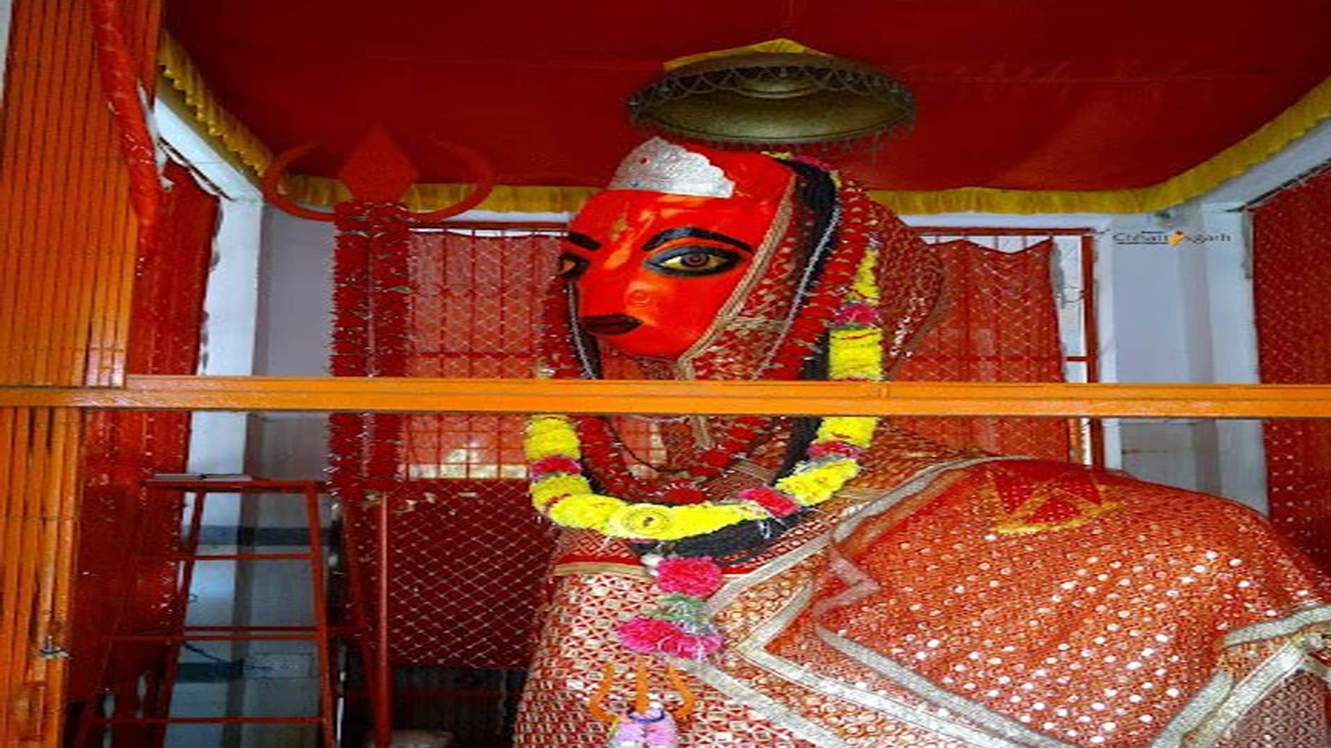 Bear Visit Chandi Devi Temple In Chhattisgarh During Goddess Aarti Puja ...