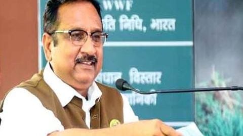 Mp News: Zebra And Giraffe Will Come From Africa In Bhopal Van Vihar ...