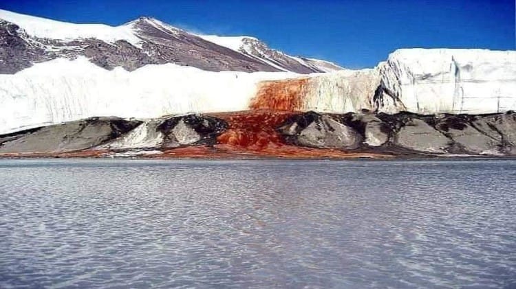 Blood Falls:ग्लेशियर से बह रहा है खून का झरना, अंटार्कटिका में ऐसा ...
