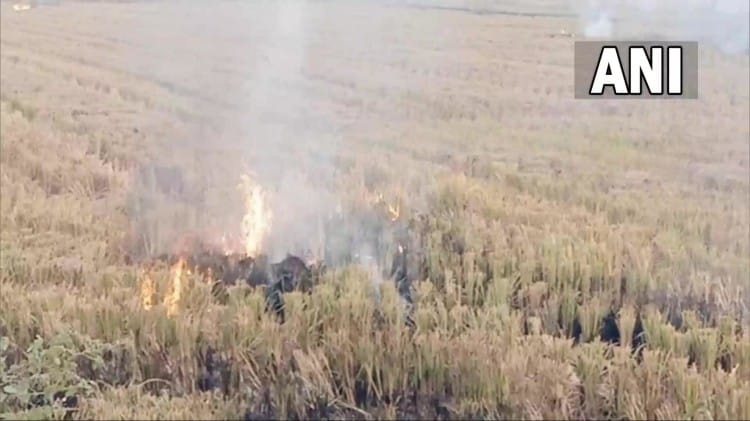 Lucknow News :पराली जलाने पर सख्ती, जुर्माना वसूली शुरू, सेटेलाइट से ...